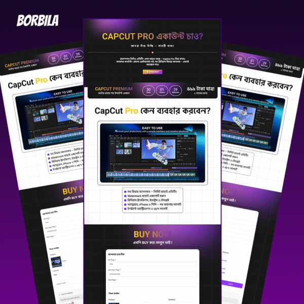Borbila – Website Development Agency In Bangladesh